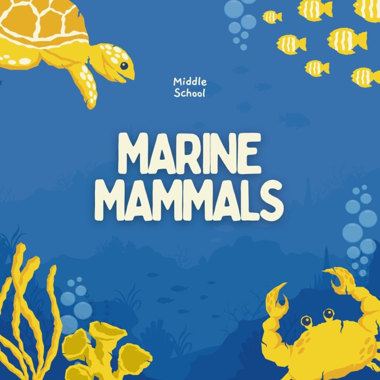 Cetaceans: Marine Mammals with MacBeth Derham - Homeschool Connections