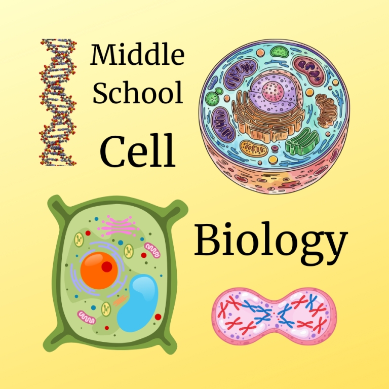 Cell Biology with Lab with Kris Correira - Homeschool Connections