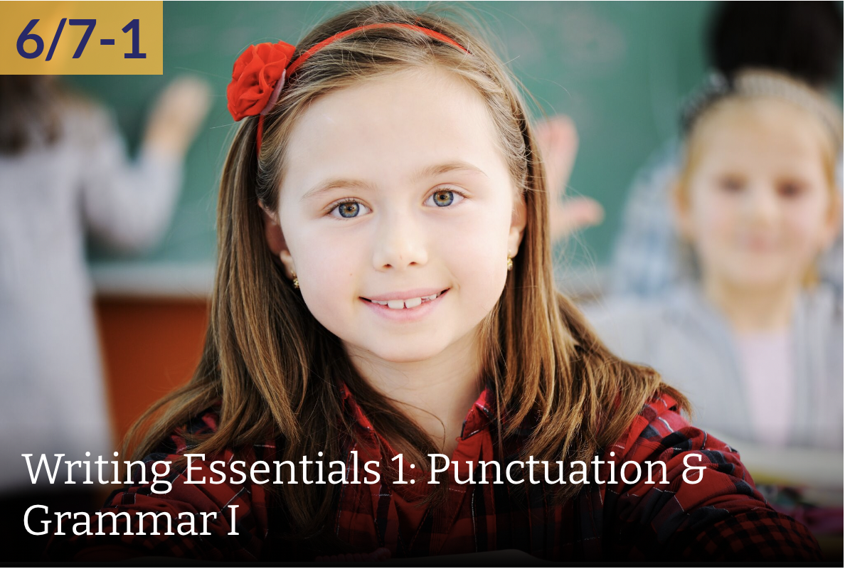 Writing Essentials 1: Punctuation & Grammar I (MS 6/7-1) with Erin M ...
